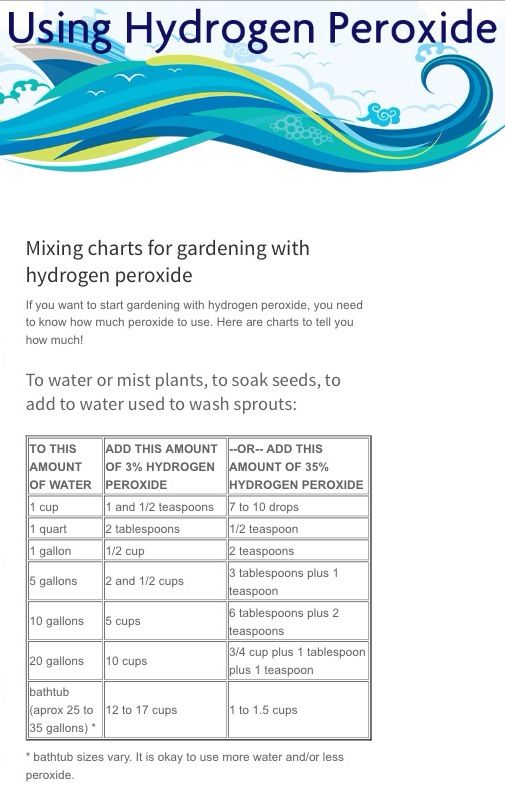What is the ratio of hydrogen peroxide to water for plants?