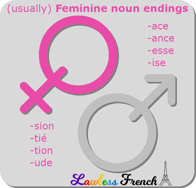 What is the rule for feminine in French?