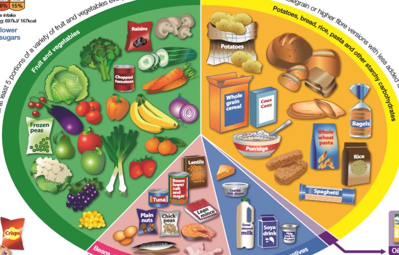 What is the solid food?