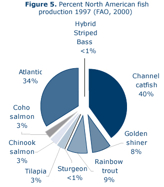 What is the top species produced in marine aquaculture in the US?