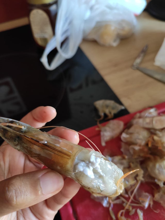 What is the white stuff on prawns?