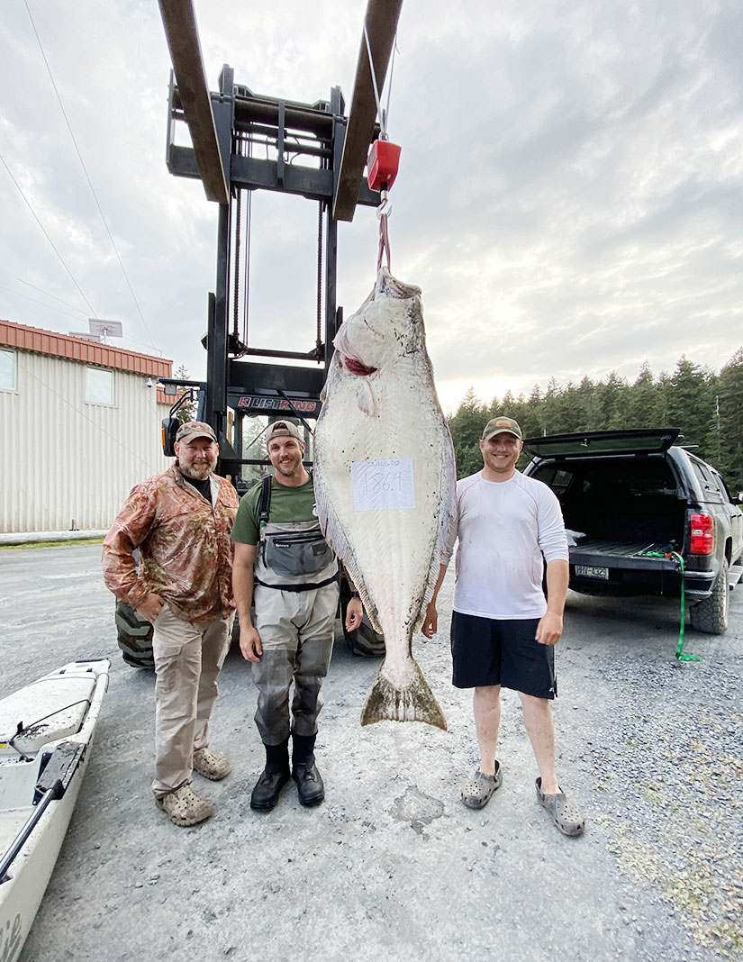 What is the world record Alaskan halibut?