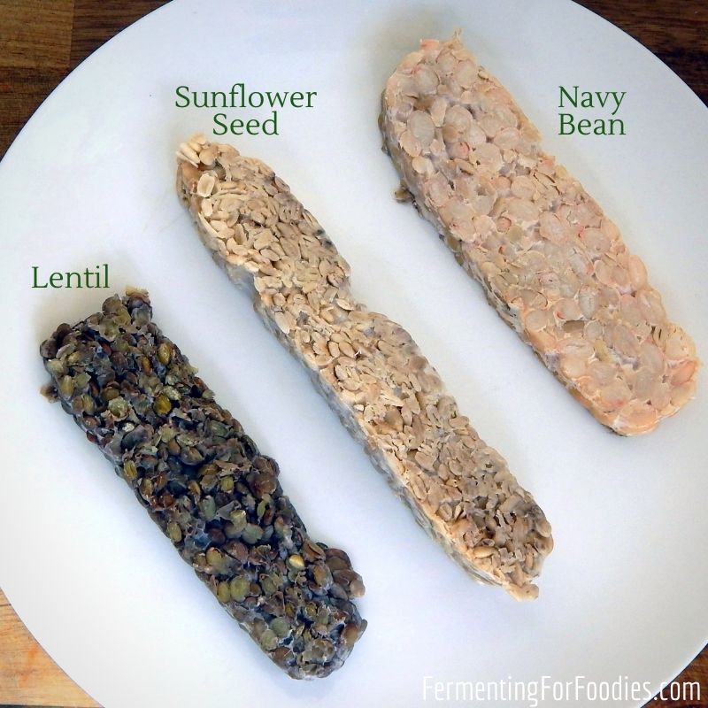 What kind of beans is tempeh?