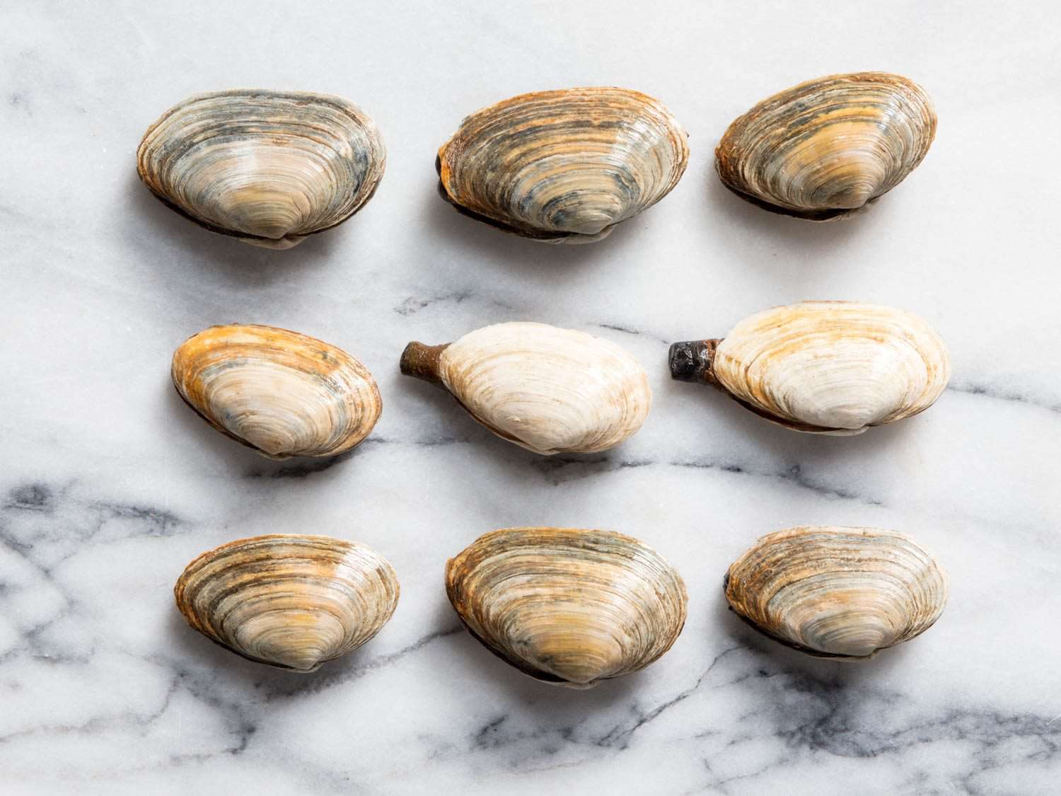 What kind of clams are used for steamers?