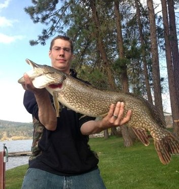 What kind of fish are in Long Lake Spokane Washington?