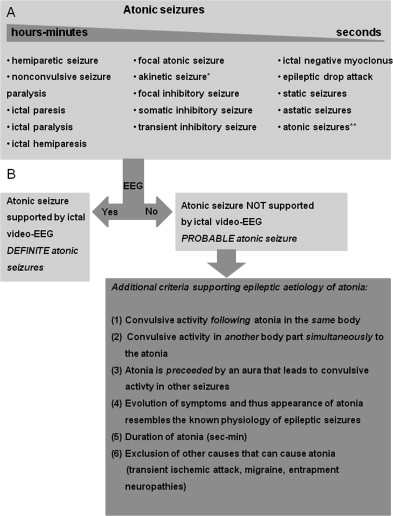 What kind of seizure causes paralysis?