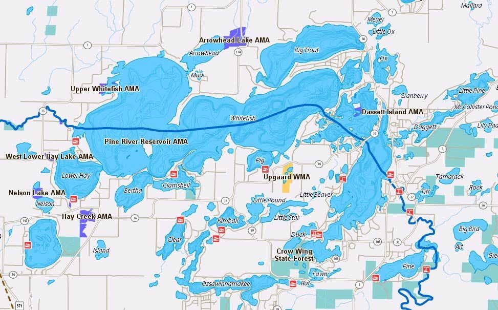 What lakes in Minnesota have whitefish?