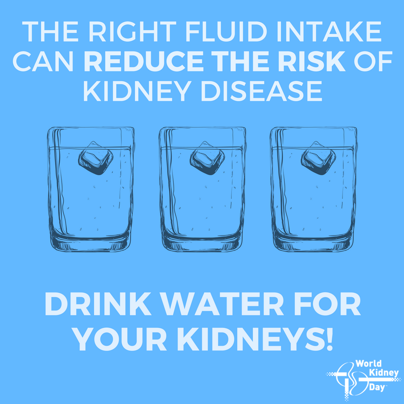 What liquid helps your kidneys?