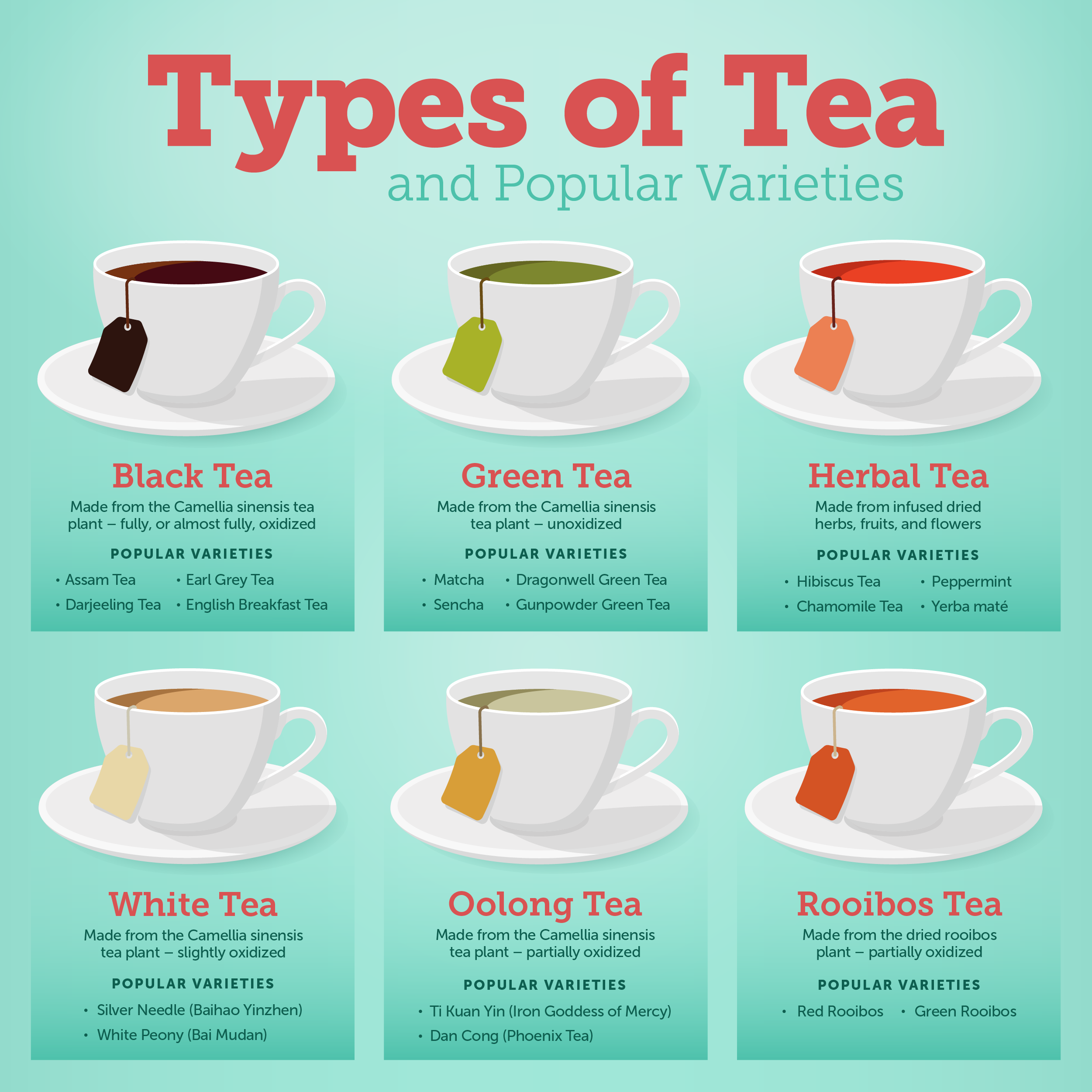 What makes different types of tea?