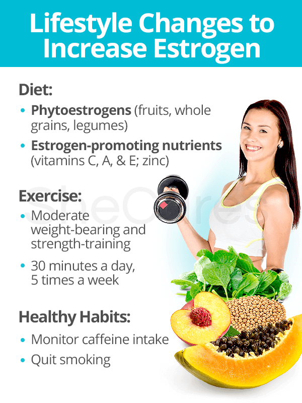 What makes estrogen levels increase?