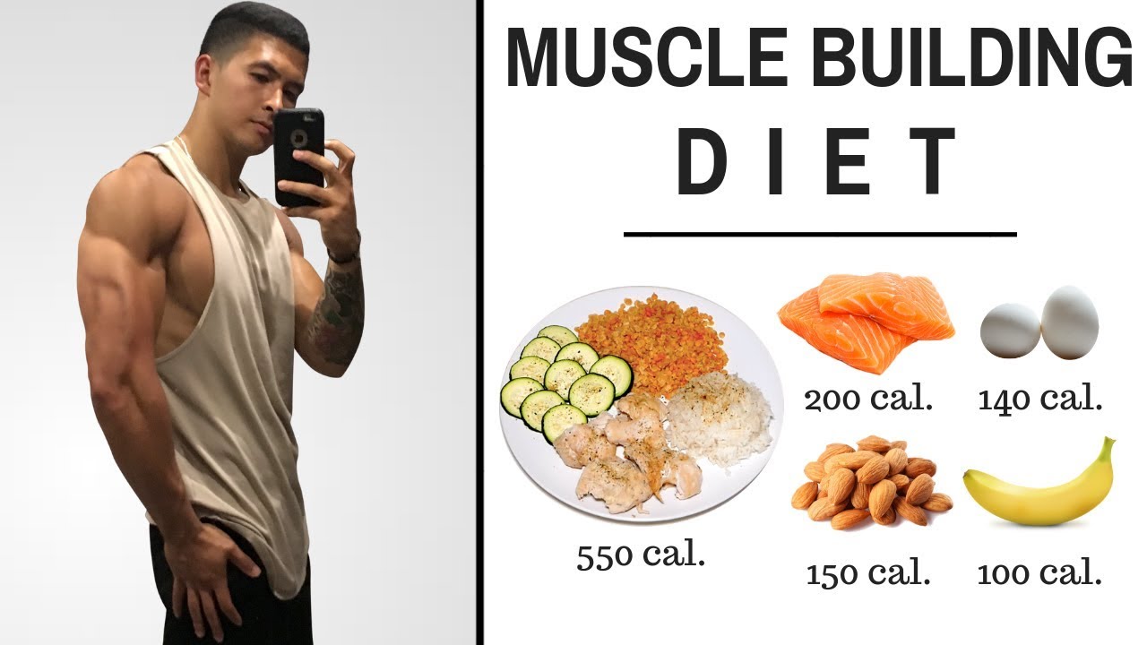 What meats help you gain muscle?