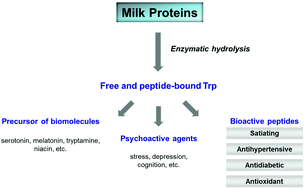 What milk contains tryptophan?