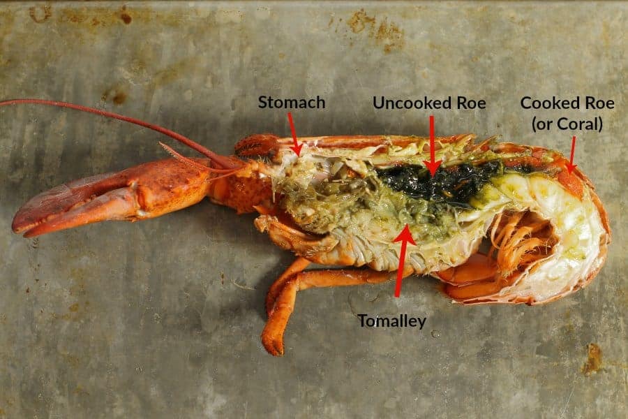 What part of a lobster is edible?