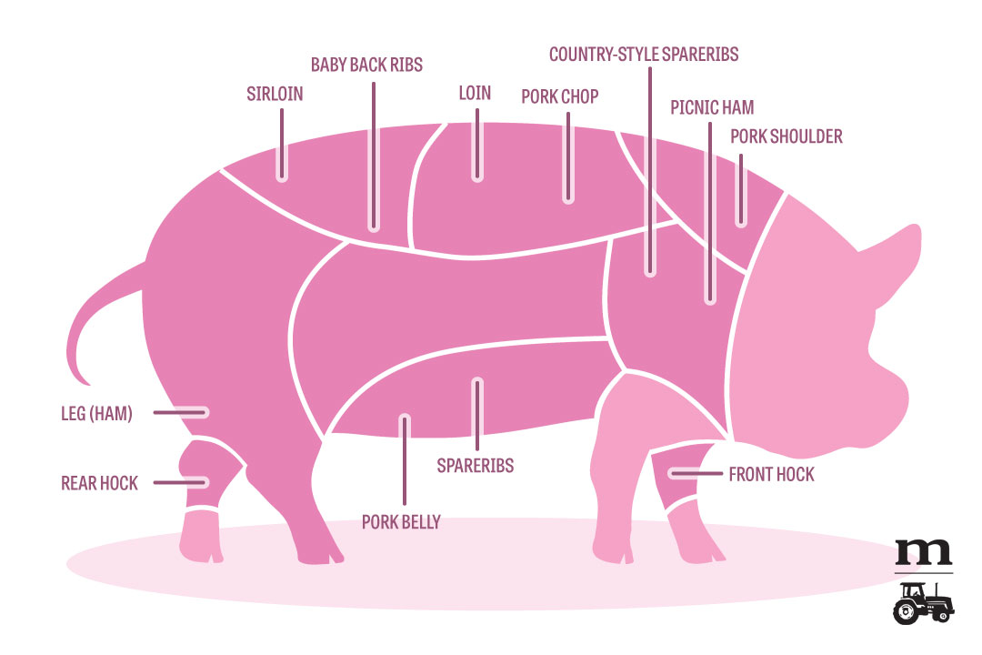 What part of the pig is a brisket?