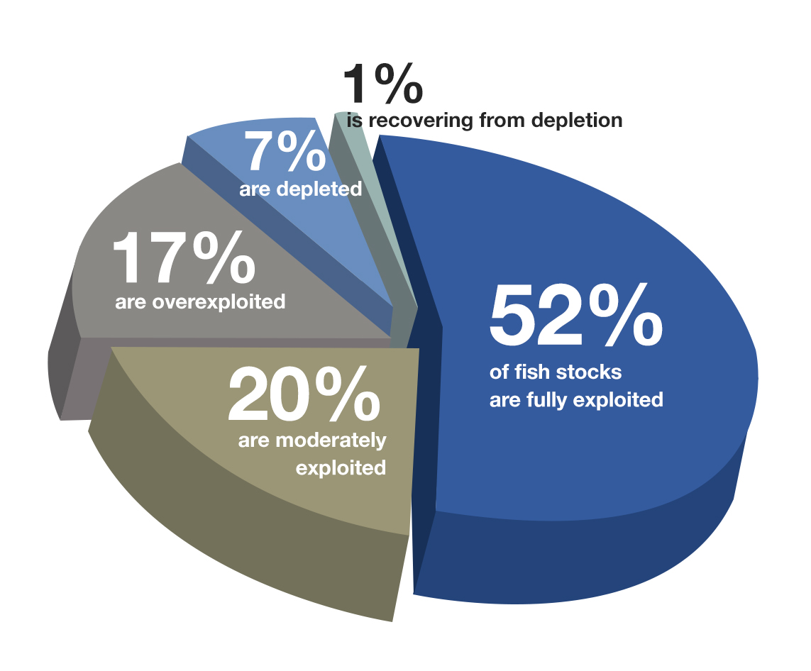 What percentage of fish stocks are depleted?