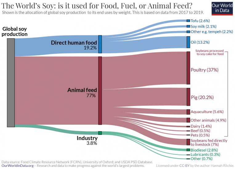 What percentage of soy is used for human food?