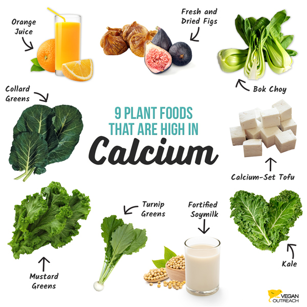 What plant food contains calcium and magnesium?