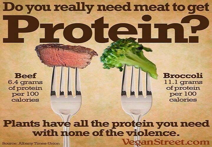 What plant has more protein than beef?