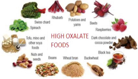 What plants have oxalic acid in them?