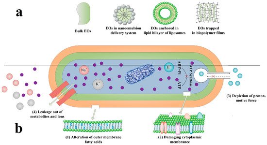 What preservatives are used in fish?
