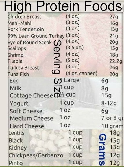 What protein is equivalent to an egg?