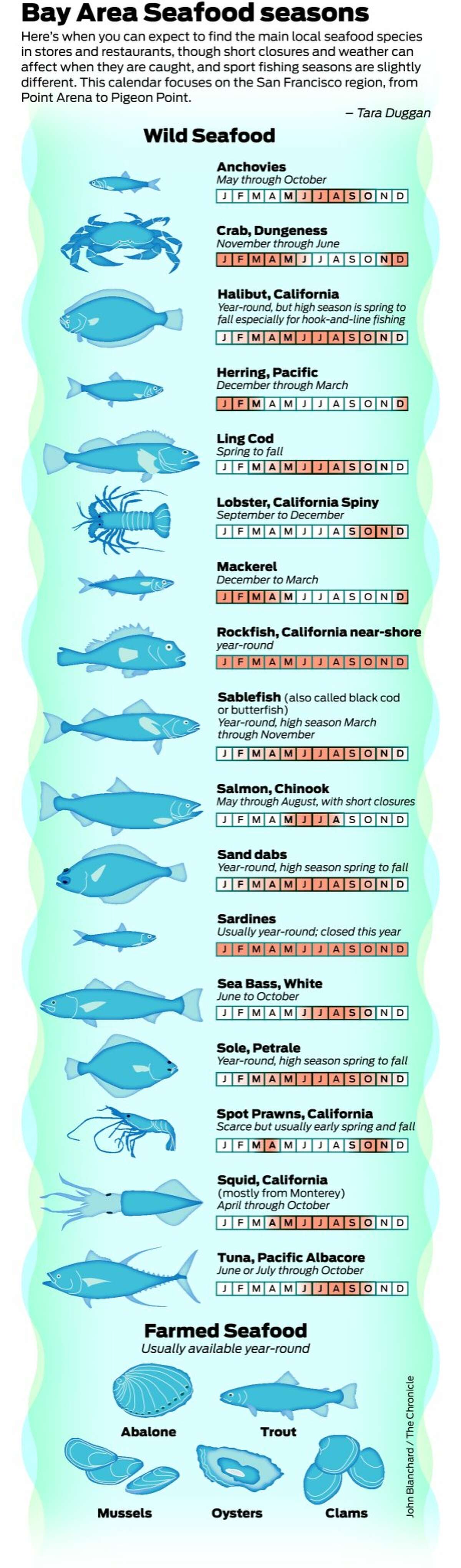 What seafood is in season in San Francisco?