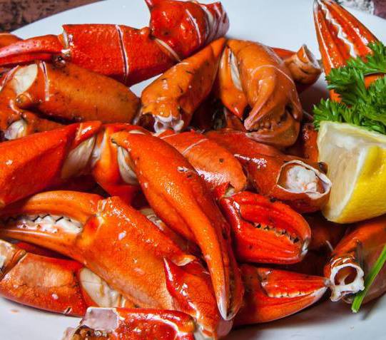 What seafood is popular in South Carolina?