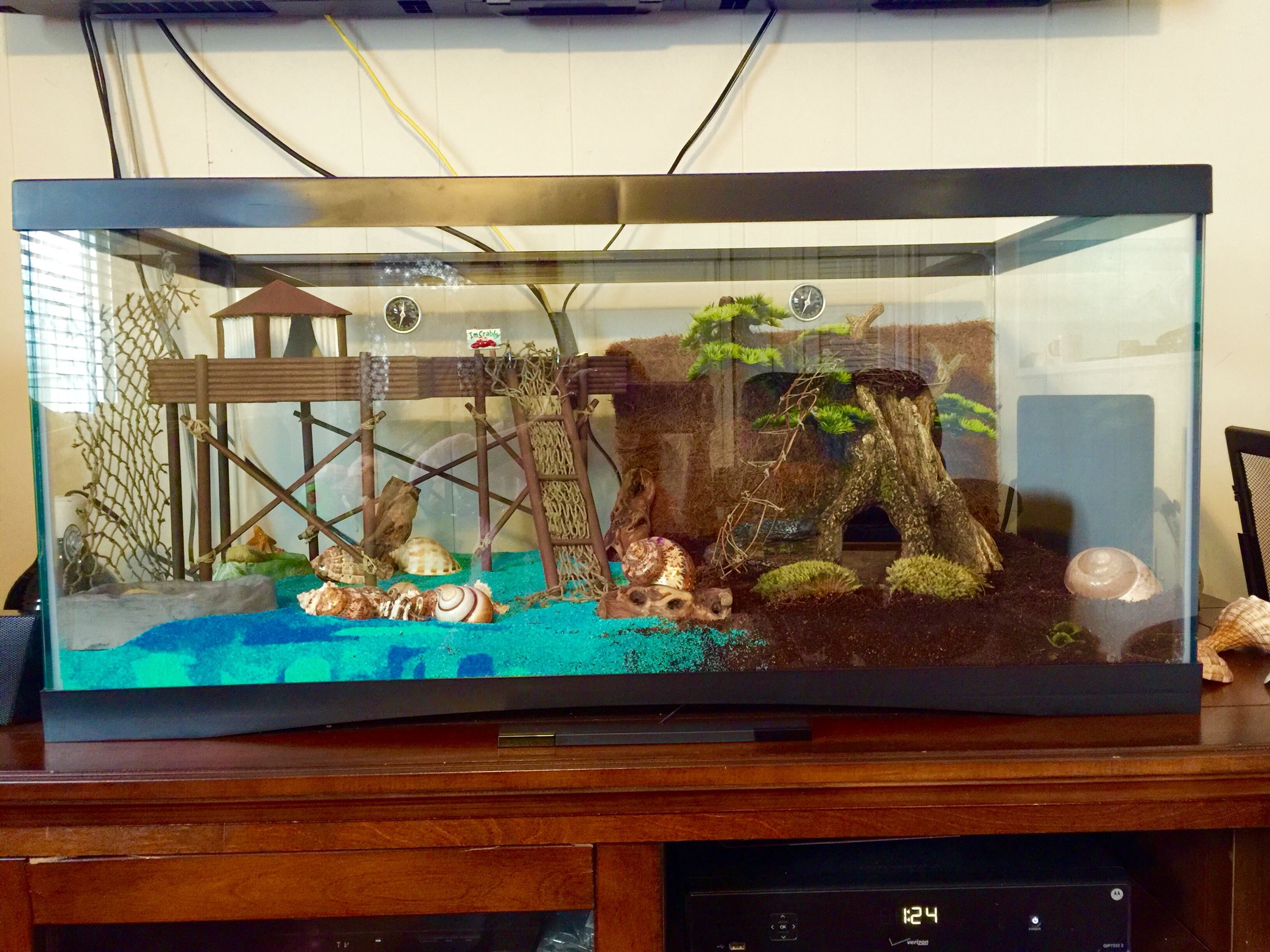What should a hermit crab habitat look like?
