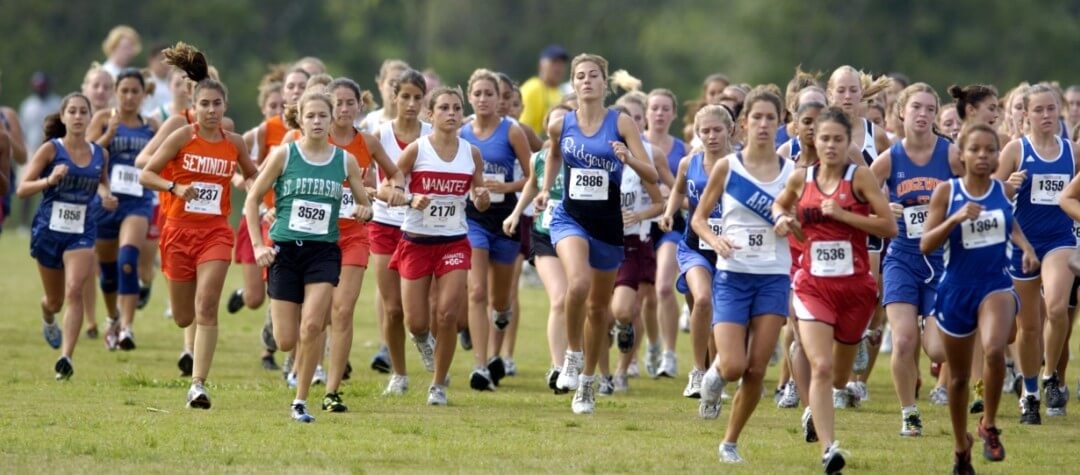 What should you not do before a cross country race?
