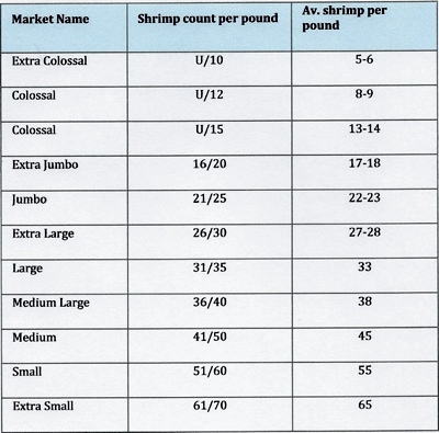 What size shrimp is best for grilling?
