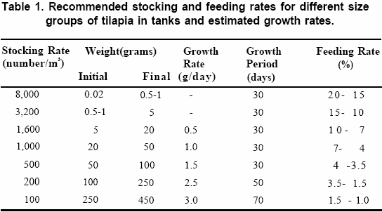 What size tank do tilapia need?