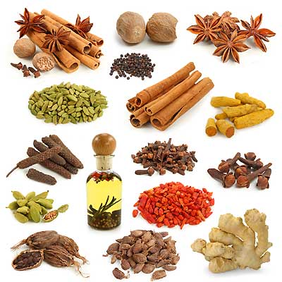 What spices are made from plants?