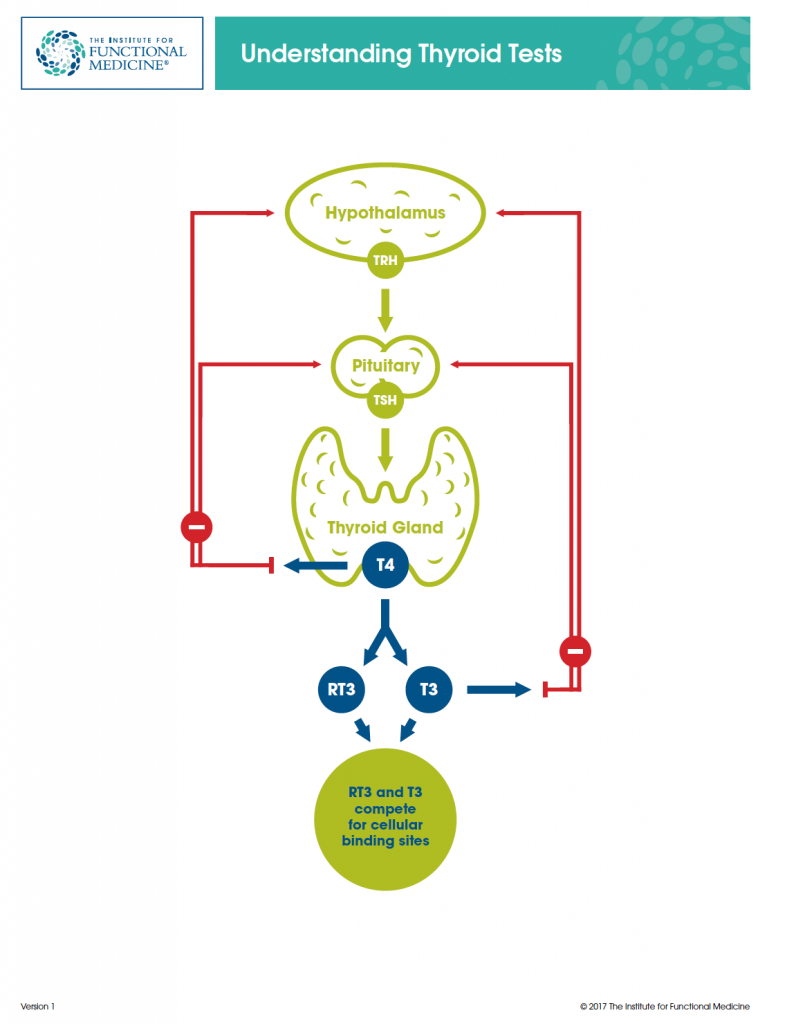 What stops levothyroxine from working?