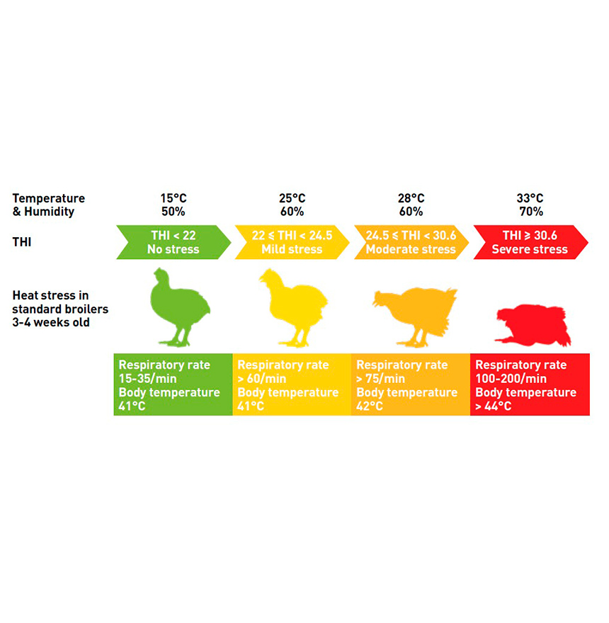 What temperature is a broiler heat?