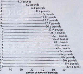 What temperature is king mackerel?