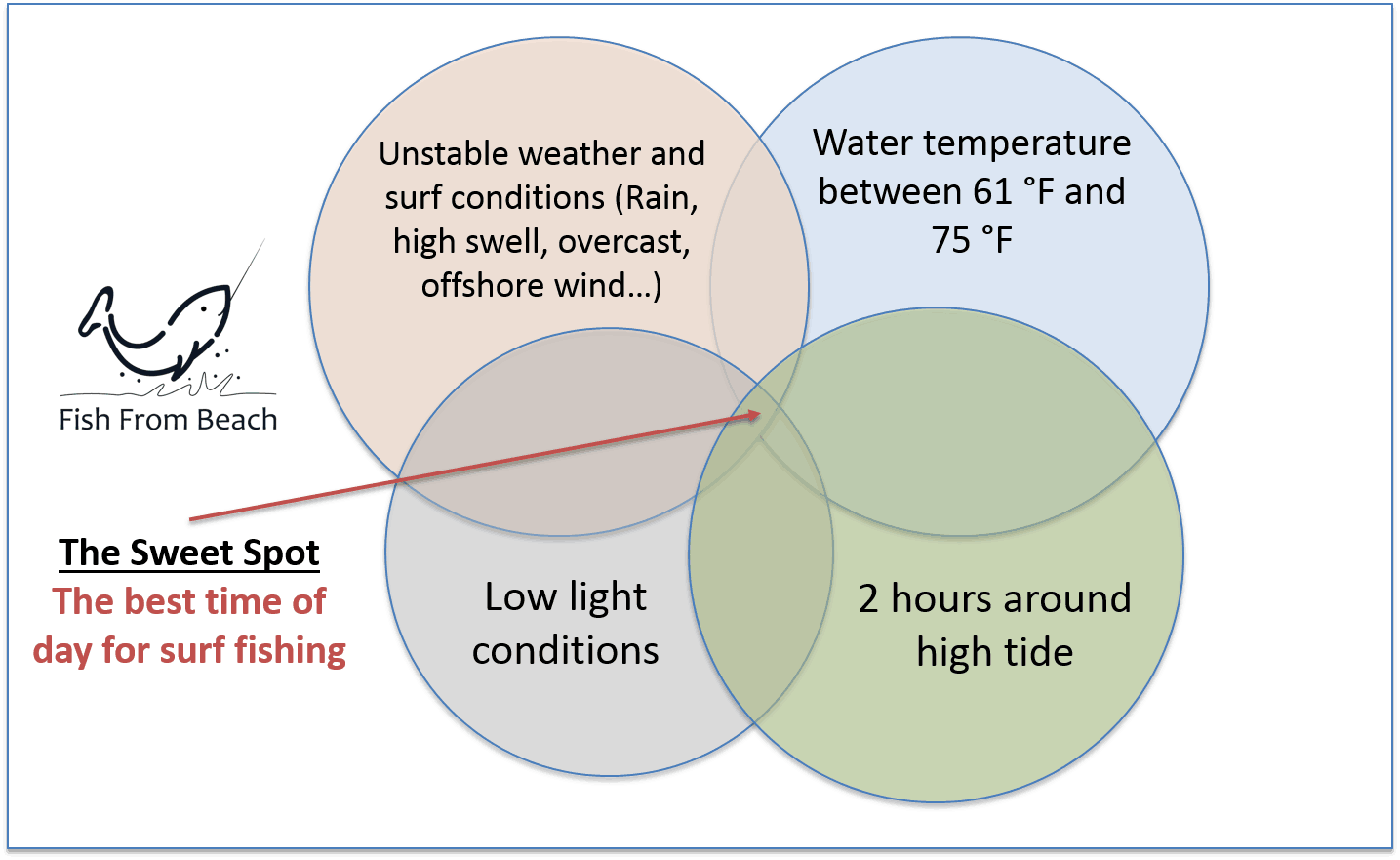 What time is best to fish the the surf?