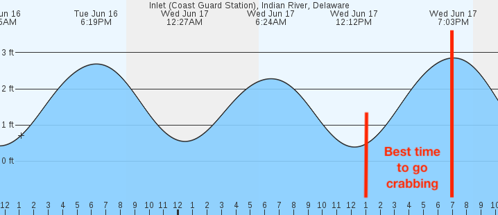 What time of the day is best for crabbing?