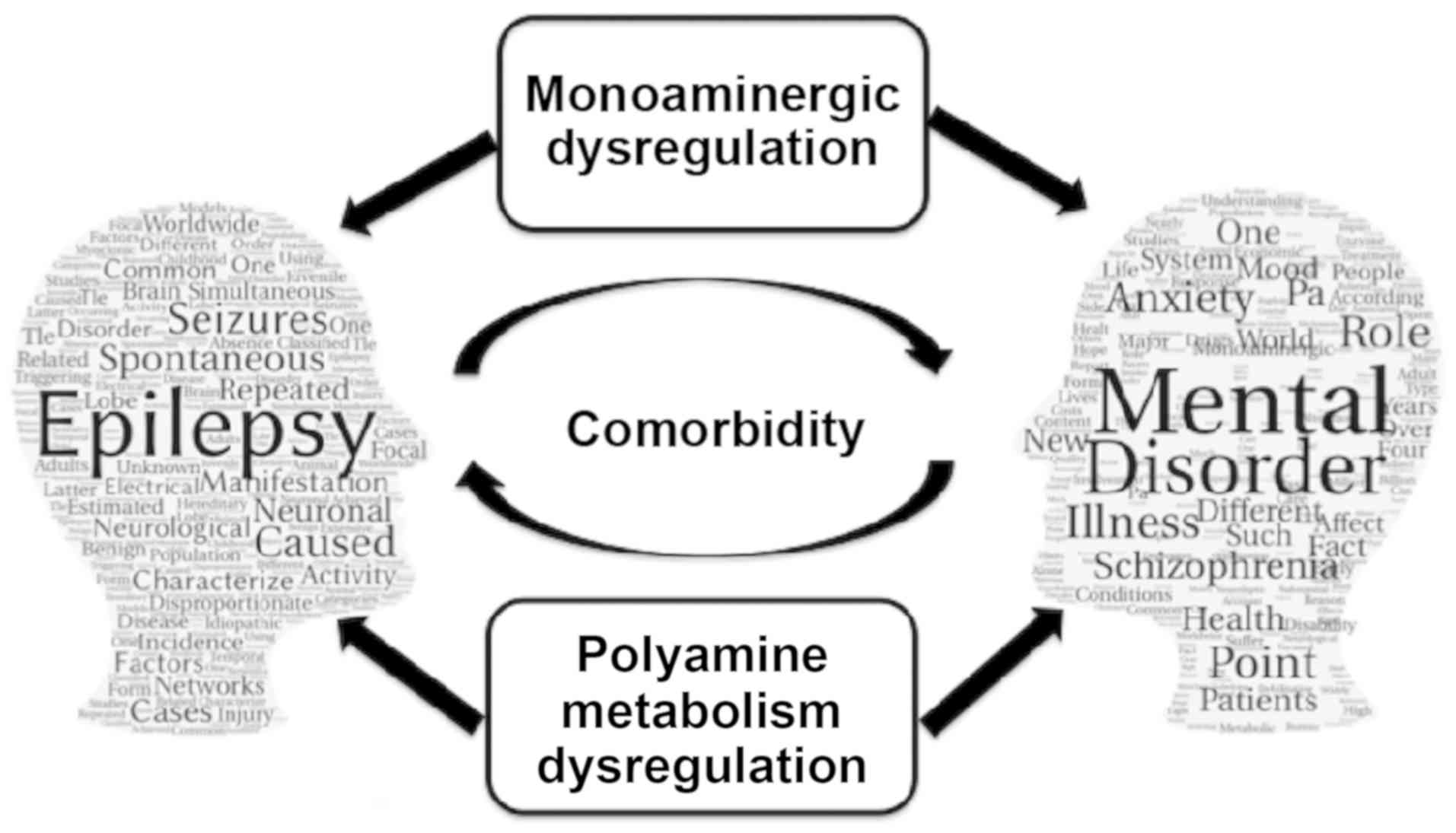 What type of mental illness is epilepsy?