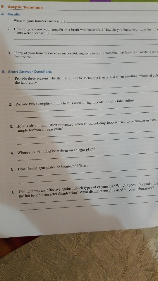 What would indicate that your transfer of bacteria to a broth was successful?