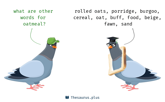 What's another word for oatmeal?