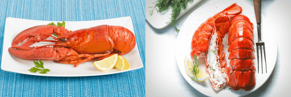 What's better whole lobster or lobster tail?