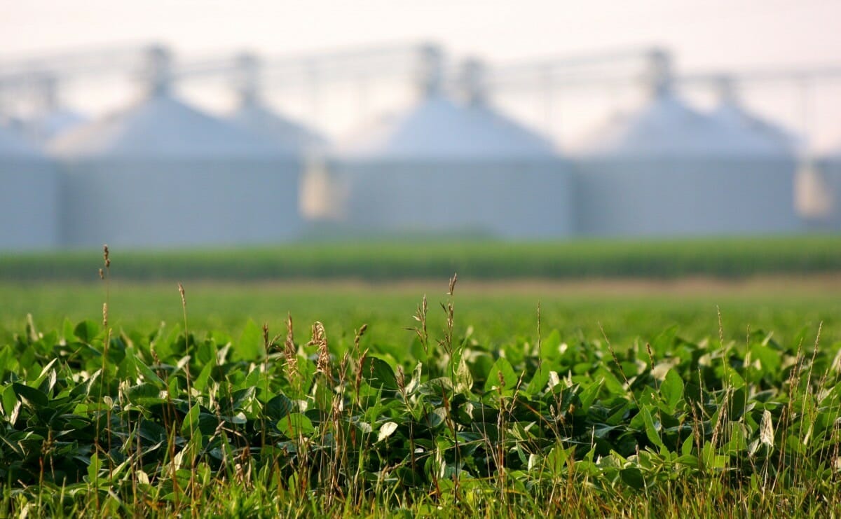 When did soybeans become America's number one cash crop?