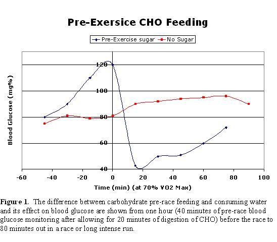 When should you eat before a XC race?