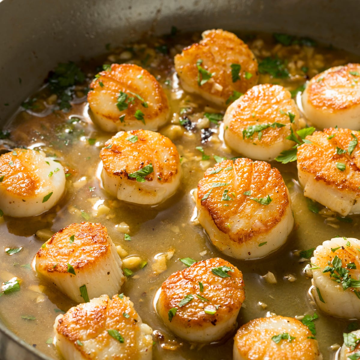 When should you not eat scallops?