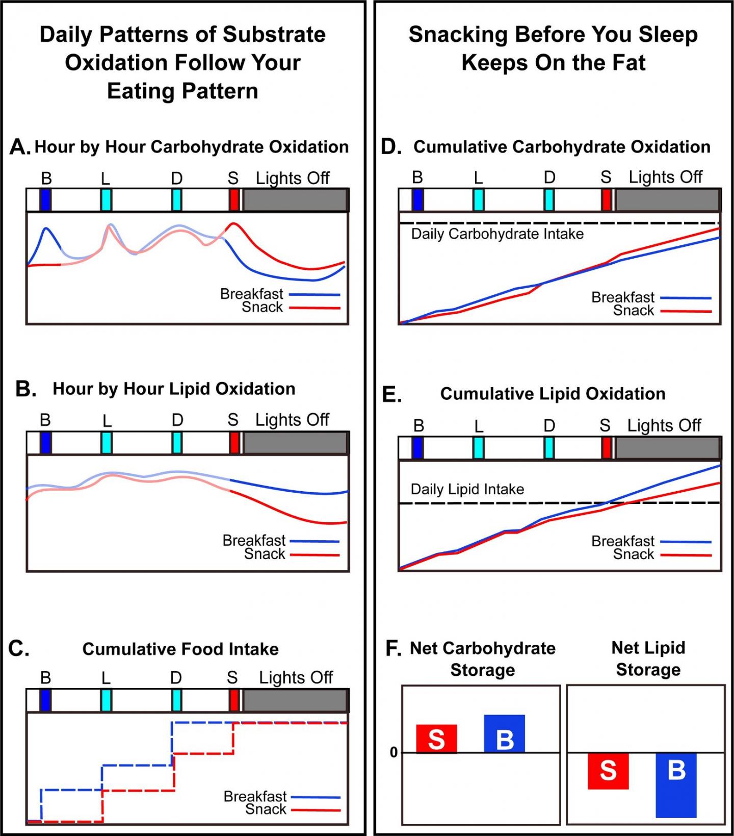 When should you snack?