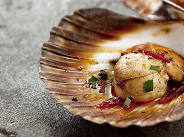 Where are scallops popular?