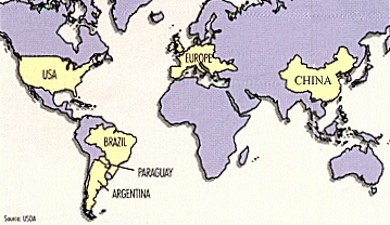Where are soybeans originally from?