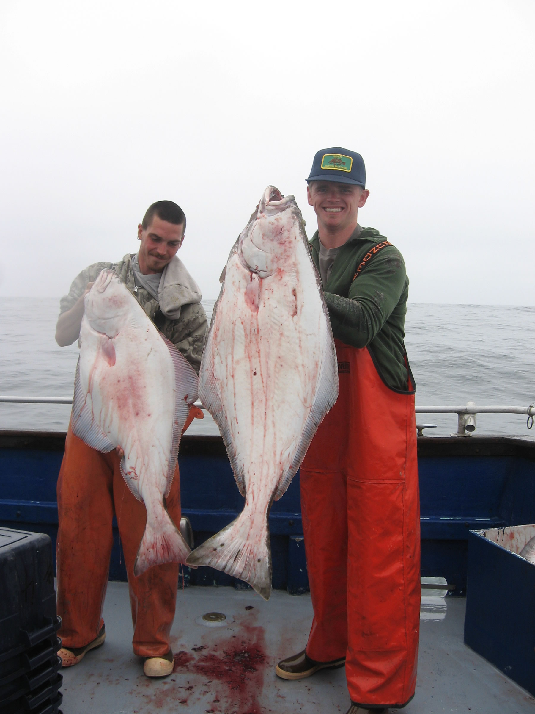 Where can I find halibut in Oregon?