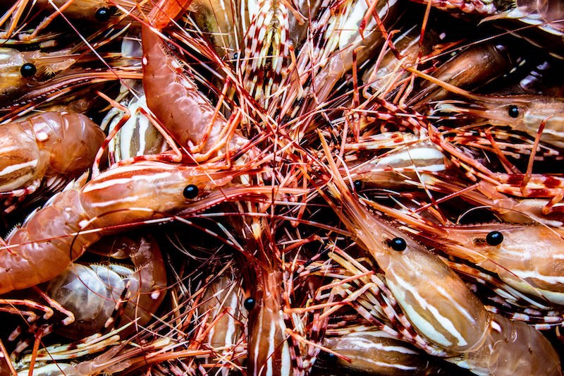 Where can I find spot prawns in Vancouver?