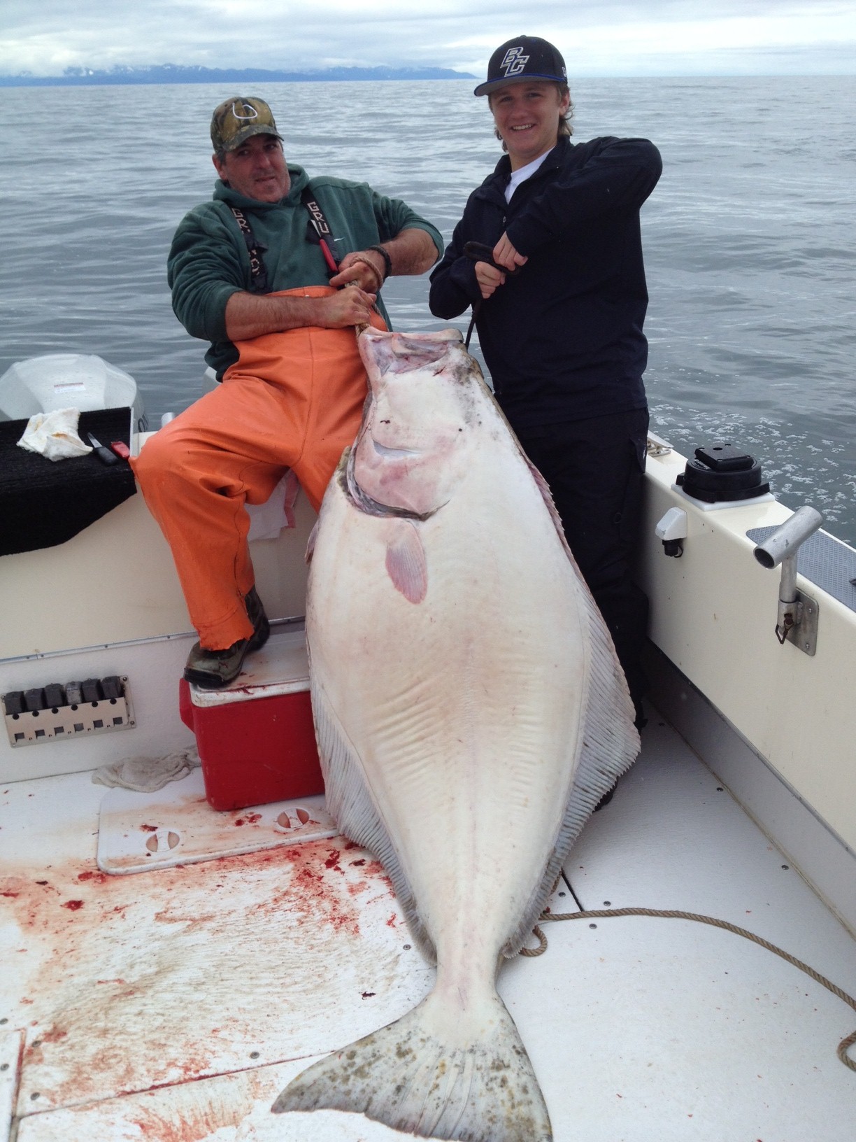 Where can I Go halibut fishing on Kenai?